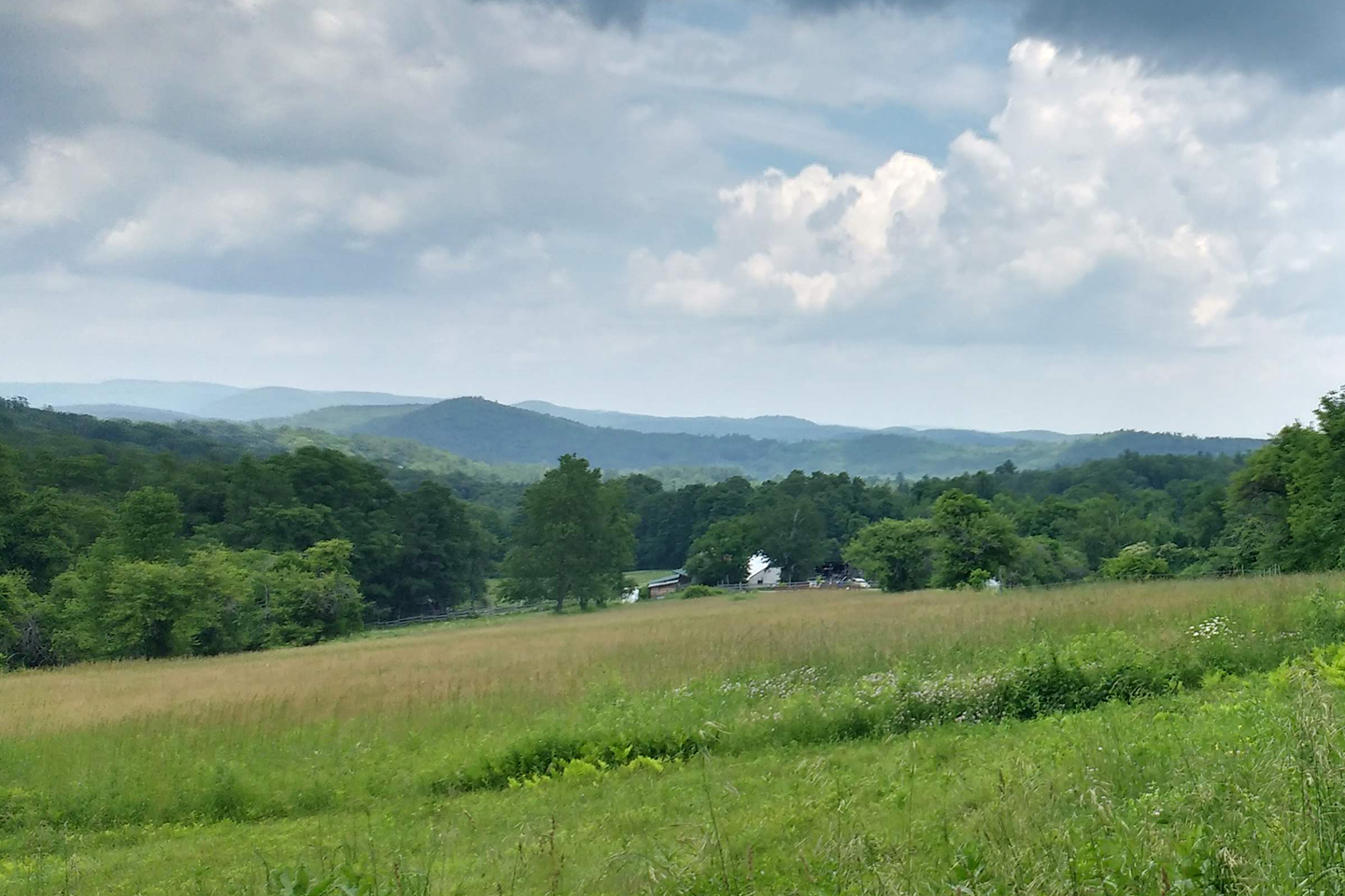 Jerry Rubenstein, trustee emeritus - Marlboro Music